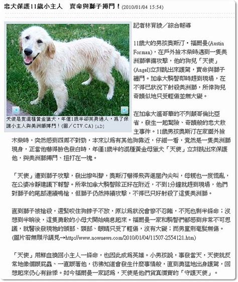 20090106「資訊」忠犬（黃金獵犬）保護11歲小主人 賣命與獅子搏鬥 2010 Flickr