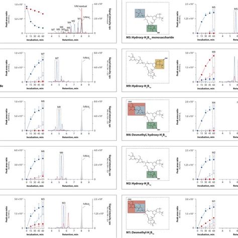 Ivermectin Metabolism Chemical Structure Of Ivermectin And Putative Download Scientific
