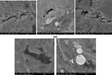 Experimental Results Of Sem A Wet Shale Sample And B Dry Shale