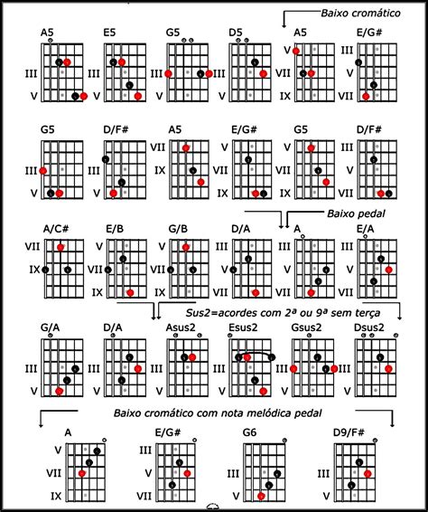 Accordion Learning Courses Apk For Android Download
