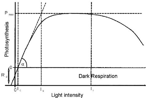 Light Response Curve Of Photosynthesis Versus Light Intensity Download Scientific Diagram