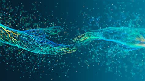 Members Viewpoints The Relationship Between Biometrics And Ai