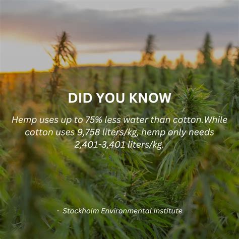 The Sustainability Of Hemp Eco Friendly Benefits And Uses