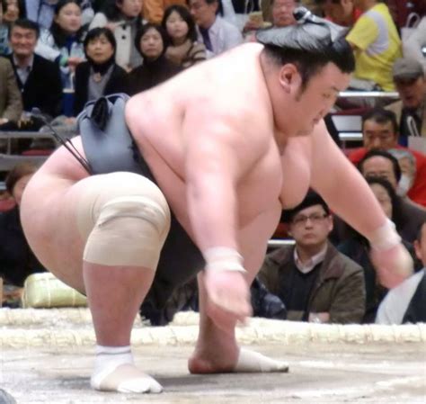 Controversies In Professional Sumo Alchetron The Free Social Encyclopedia