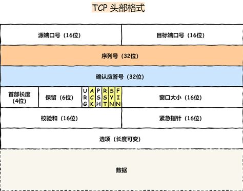 网络:tcp包头格式 Csdn博客 网络:tcp包头格式 Csdn博客