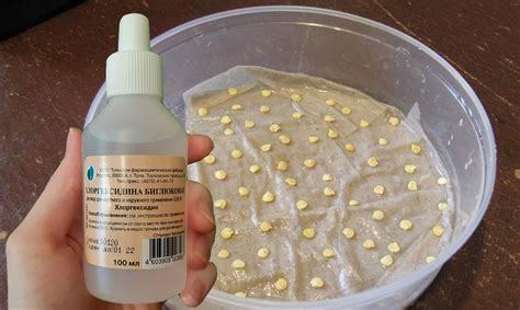 Головні правила обробки насіння перед посадкою В чому саме слід замочити їх