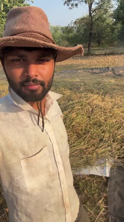 omkar patil on linkedin rurallife rice farmers farminglife illustration hometown roots