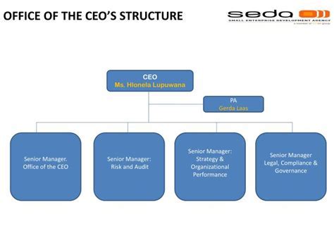 Ceo Hierarchy Chart