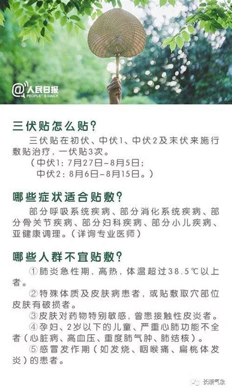三伏天實用養生指南 每日頭條