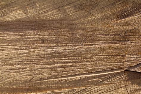 Rough Texture Oak Stock Image Image Of Grain Decorative 96493837