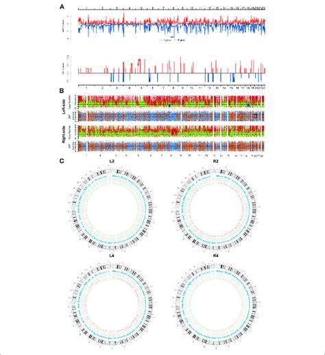 The Copy Number Variants Analysis Of Srl Cc A Gistic Analysis Of Download Scientific
