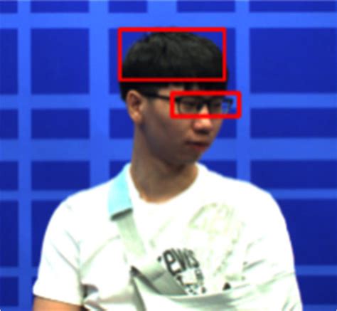 Examples Of Shiny And Dark Surfaces First Row Represents Chessboard Download Scientific