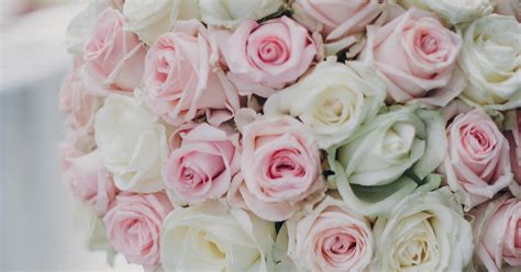 기둥에 우아한 웨딩 부케 야외 웨딩 통로의 세련된 장식 Stresa의 식물원에서 결혼식 피로연에서 분홍색과 흰색 장미 배열 사진 Unsplash의 영국 이미지