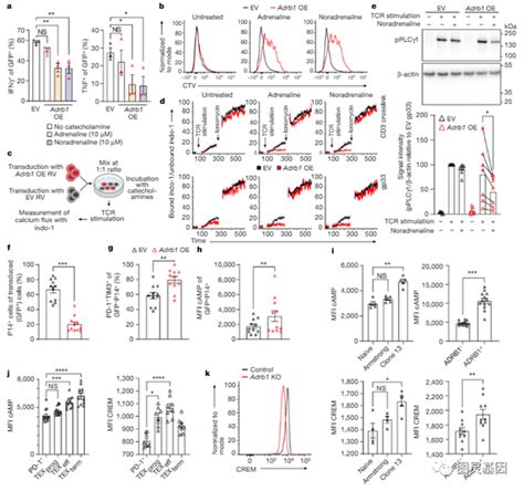 Nature Salk研究所发现β受体阻滞剂增强杀伤性t细胞改善癌症治疗机理 知乎