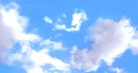 Sky S Get The Best  On Giphy