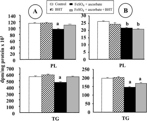 Lipid Esterification By Caco 2 Cells After The Administration Of Iron