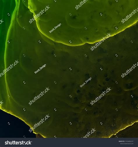 알코올 잉크 배경입니다 투명한 창의력 액체 스톡 일러스트 1918406237 Shutterstock
