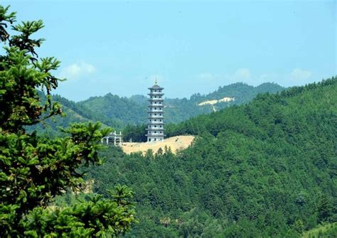 渠江茶祖 搜狗百科