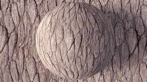 Artstation Tree Trunk Graph Pack Resources Artstation Tree Trunk Graph Pack Resources