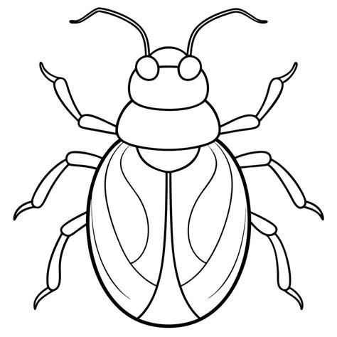 A Coloring Page Of An Junebug With No Color Just Black Lines