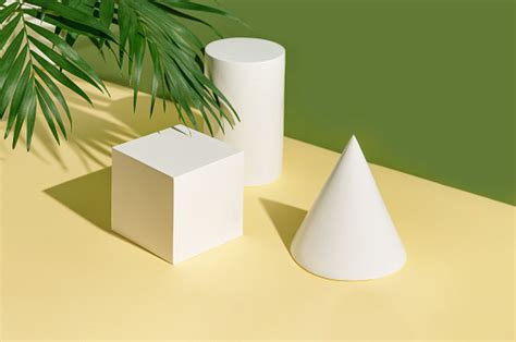 야자수 잎과 녹색과 노란색 파스텔 햇볕이 잘 드는 배경에 그림자가 있는 흰색 기하학적 인물로 만든 추상적인 구성 최소한의 스타일 0명에 대한 스톡 사진 및 기타 이미지