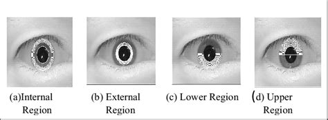 Different Approaches Of Iris Recognition III TEMPLATE MATCHING This Download Scientific