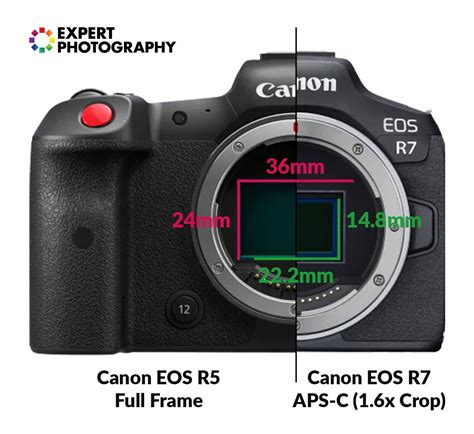 Full Frame Vs Aps C Helpful Camera Pros And Cons