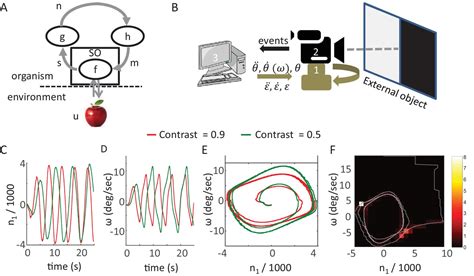 Figures And Data In Perception As A Closed Loop Convergence Process ELife