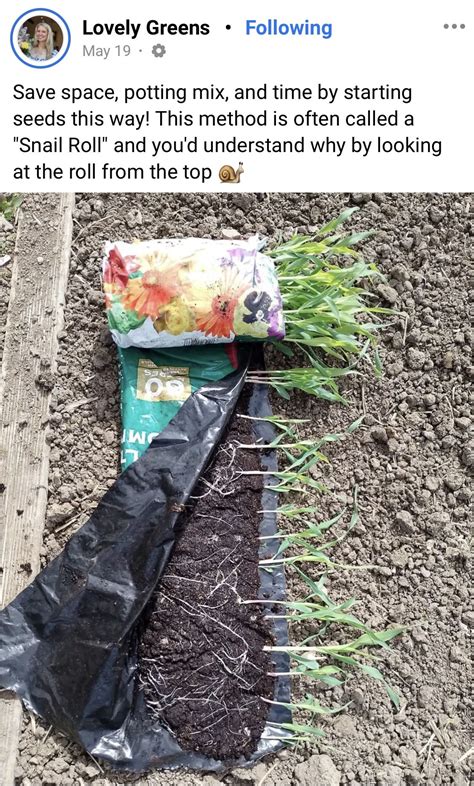 Best 13 How To Choose The Right Rake Artofit