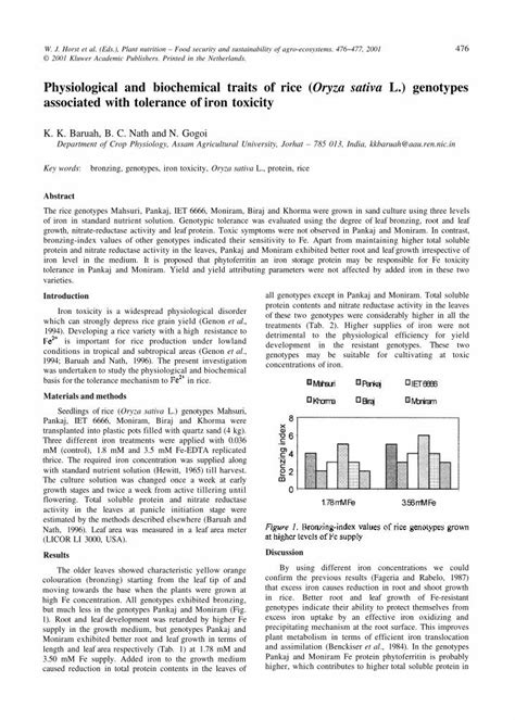 Pdf Plant Nutrition Physiological And Biochemical Traits Of Rice Oryza Sativa L