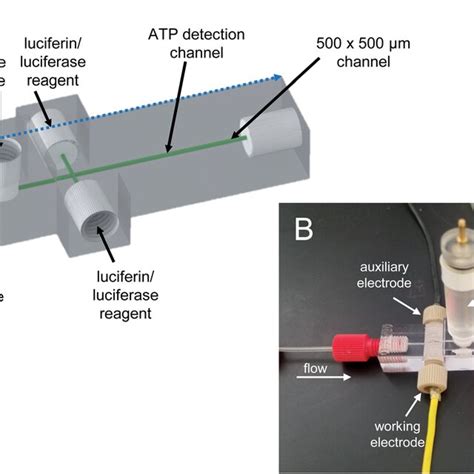 A Cad Rendering Of The 3d Printed Multi Modal Device Used In These Download Scientific