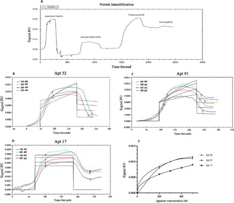 Affinity Analysis Of Aptamers Interaction With Sars Cov 2 By Spr A