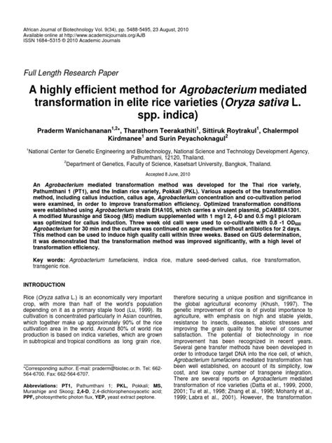 A Highly Efficient Method For Transformation In Elite Rice Varieties Spp Indica Pdf