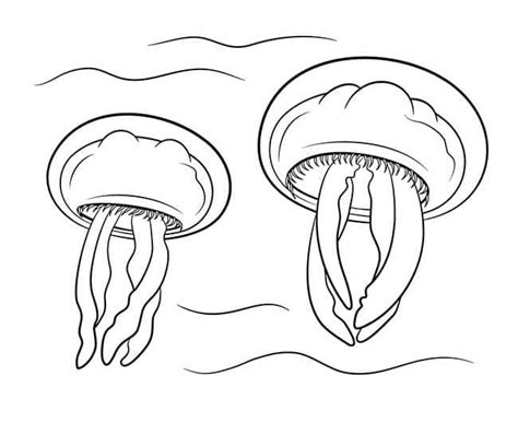 해파리 색칠 공부 Kr에서 무료 색칠 공부