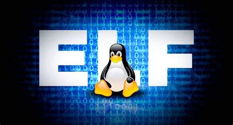 O Formato Elf Executable And Linking Format Blog Intruderlabs