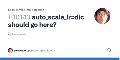 Autoscalelrdictbasebatchsizewhat Should Go Here · Issue 10143 · Open Mmlab