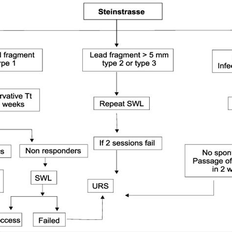 Algorithm Recommended For Treating Steinstrasse Download Scientific