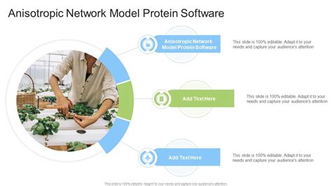 Anisotropic Network Model Protein Software Ppt Slides Acp Ppt Powerpoint