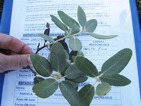 Field Measurements Of Biophysical Variables Biospec