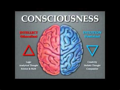 Break Down Of The Right And Left Brain Hemispheres Mark Passio YouTube
