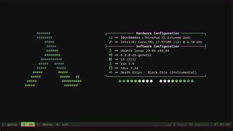 Tmux Pseudo Tty Scrolller