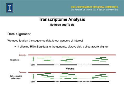 PPT RNA Seq And Transcriptome Analysis PowerPoint Presentation Free Download ID 1605322