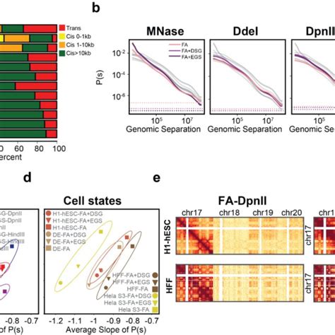 An Illustration Of The Step In Hi C Protocol Download Scientific Diagram