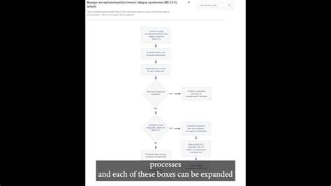 MEAction Mayo ME CFS DX Treatment Algorithm Explainer Sezmak Process