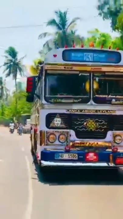 251කෙ අධිවේගී පැදිල්ල දිලංග සුපර් ලයින් 😗 ️🫂 Youtube