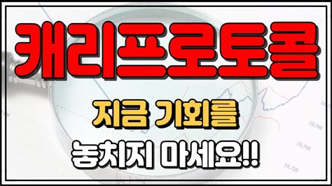 캐리프로토콜 지금 기회를 놓치지 마세요 Youtube