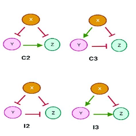 Coherent And Incoherent Ffl Types In Coherent Ffls The Direct And Download Scientific Diagram