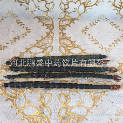鹏盛中药材 蜈蚣 养殖批发网