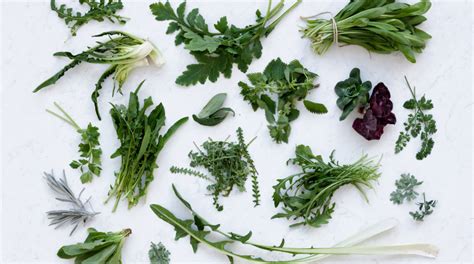 Erbe Amare Saleandpepe