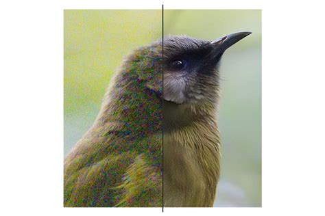 Noise In Photography Explained